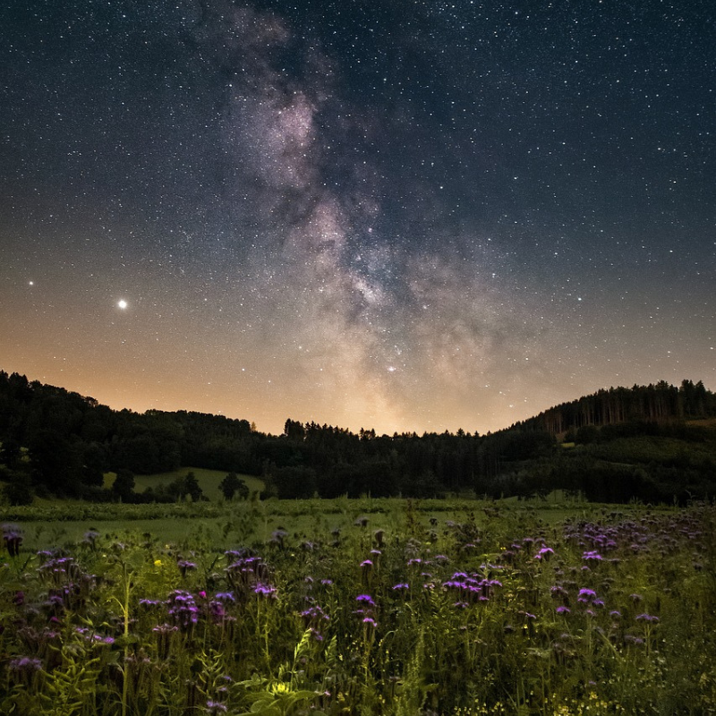 Continuous Creation: the ceaseless arrival of God within
